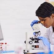 A perfectionist at work | Buy Stock Photo on PeopleImages, Picture And ...