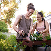 Together they plant new life | Buy Stock Photo on PeopleImages, Picture ...