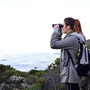 Searching the horizon | Buy Stock Photo on PeopleImages, Picture And ...