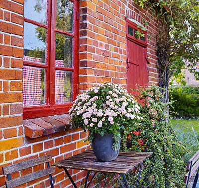 Beautiful budding flowers | Buy Stock Photo on PeopleImages, Picture ...