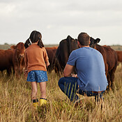 Father and daughter bonding at a cattle farm, having fun and learning ...