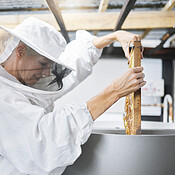 Beekeeping, process and beekeeper with honeycomb manufacturing ...