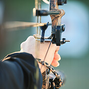 Sports archer, hands and bow and arrow training for archery competition ...