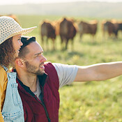 Father and daughter bonding on a cattle farm, talking and having fun ...