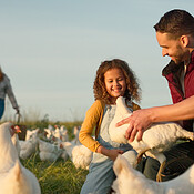Chicken, farm and family love of happy mom, dad and child enjoy quality ...