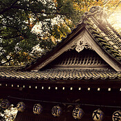 Japanese, temple and building for praise religion or worship, peace or ...
