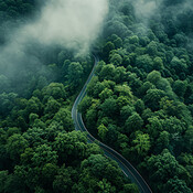 Highway, road and drone view of a path through the forest for vacation ...