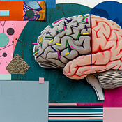 Brain, collage art and creative artwork made of paper neurodivergent ...
