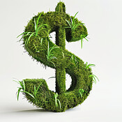 Green, dollar and sign with abstract of symbol for investment, growth ...