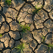 Dry, ground and drought as top view in natural disaster for climate ...