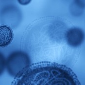 Bacteria, microscope virus and zoom of particles moving slowly in experiment on a blue ...