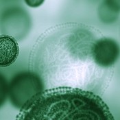 Microscope bacteria, virus molecules and healthcare research for ...