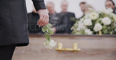 Hand, rose and person at funeral, death and mourning at graveyard ...