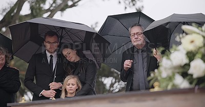 Hand, rose and person at funeral, death and mourning at graveyard ...