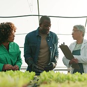 Farm, teamwork and sustainability with people in a greenhouse to study ...
