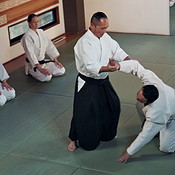 Aikido, class and fight with a master in martial arts with student in ...