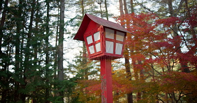 Japanese lantern, forest and outdoor with nature, woods and traditional ...