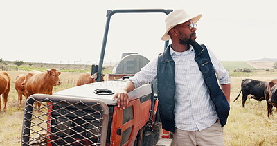 Walking, cattle and black man in farm thinking of sustainability or ...