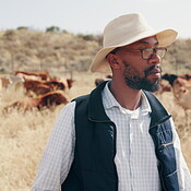 Walking, cattle and black man in farm thinking of sustainability or ...