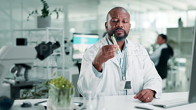 Science, man and petri dish with plant in laboratory for sample ...