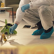 Crime scene, swab and police in house for evidence, investigation and ...