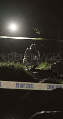 Crime scene, evidence and photograph with forensic team outdoor at ...