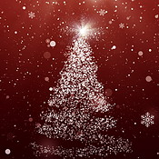 Christmas, wallpaper and color of tree, swirl and celebration of season ...