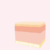 Graphic, layer and epidermis process with structure for skin hydration ...