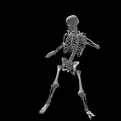 Studio, skeleton and bones with dancing for halloween, spooky spirit ...