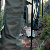 People, legs and hiking in nature for fitness, adventure and ...